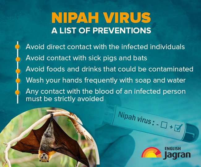 Nipah Virus Cases In Kerala Mount To Six, Karnataka, Tamil Nadu On ... Nipah Virus Cases In Kerala Mount To Six, Karnataka, Tamil Nadu On ...