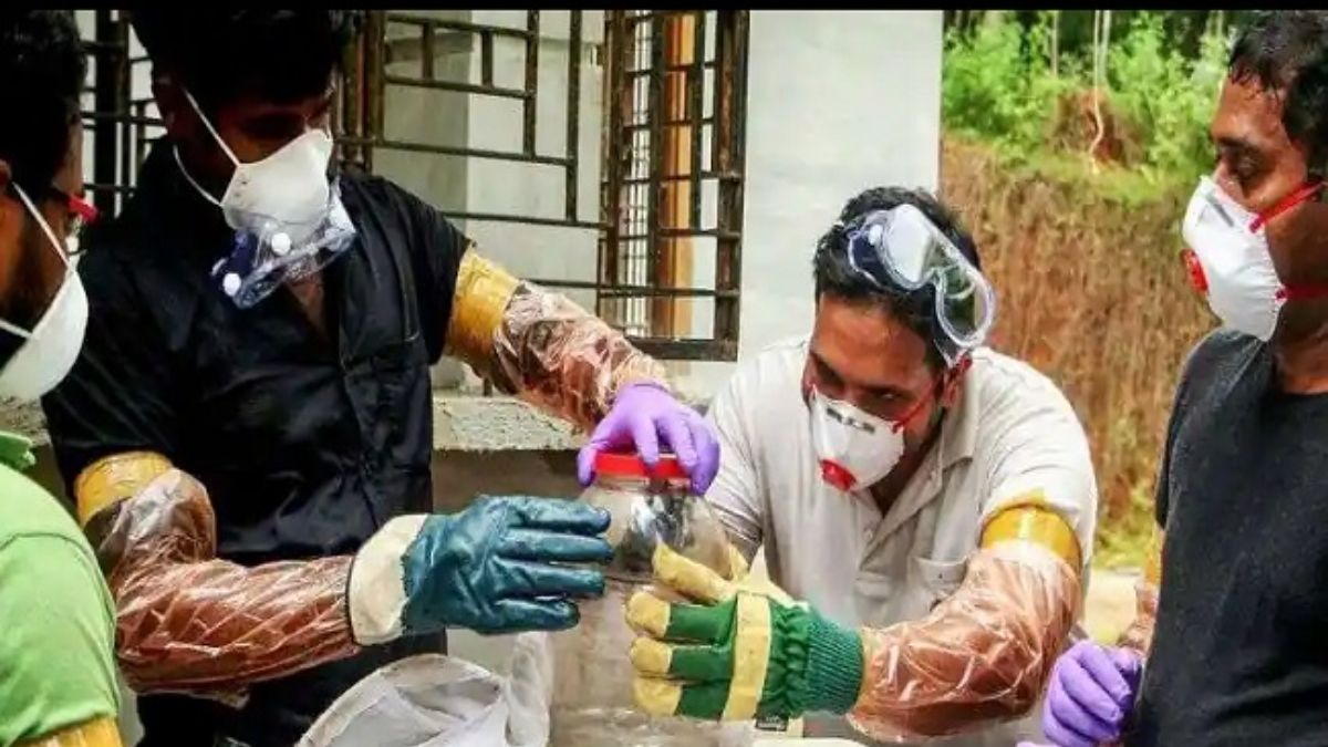 Nipah Virus: Karnataka On Alert As Cases Of Deadly Infection Rise In ...