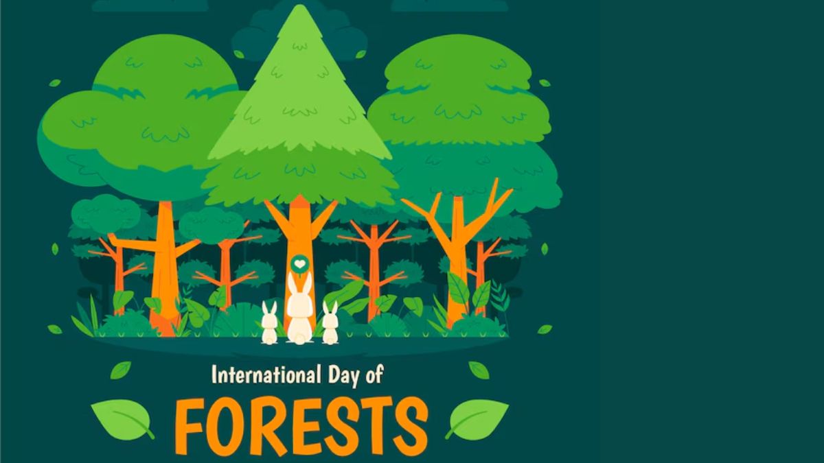 World Forestry Day 2024: Wishes, Messages, Quotes, WhatsApp And ...