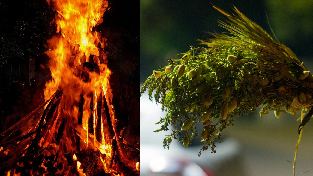 Holika Dahan 2024: What Is The Shubh Muhurat For Holika Dahan Puja ...