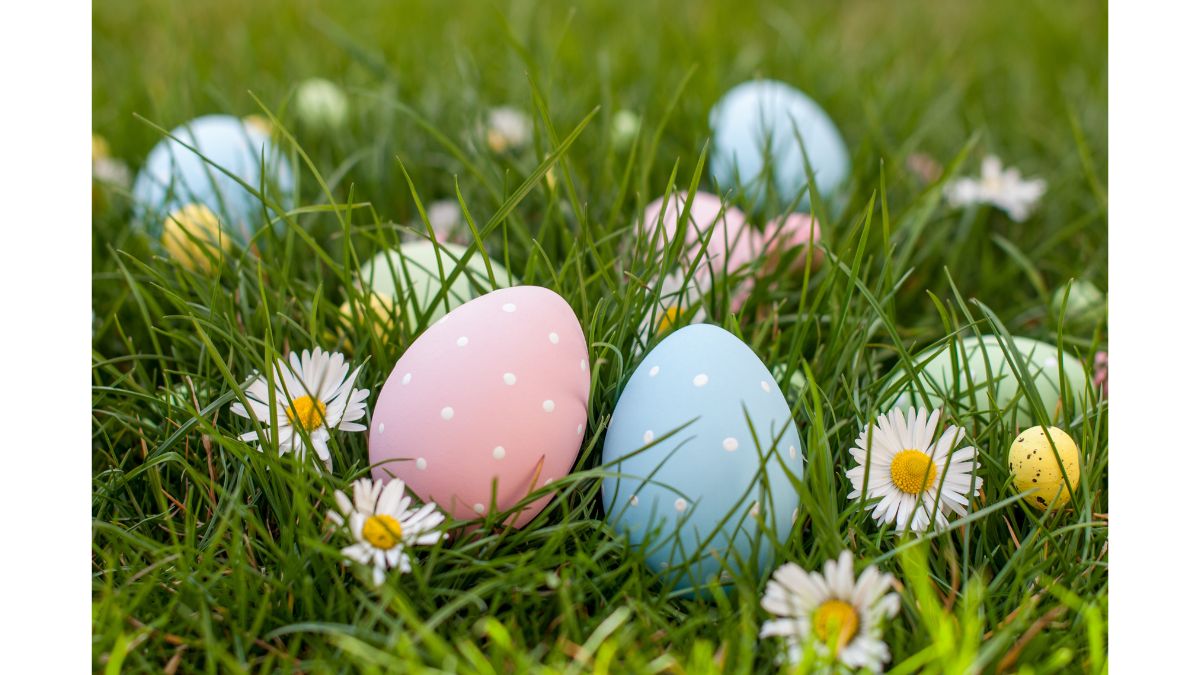 Easter 2024: What Does Easter Bunny Signify? Know About Important ...
