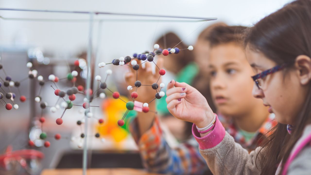 How STEM Education Prepares Students For Tomorrow's Challenges And ...