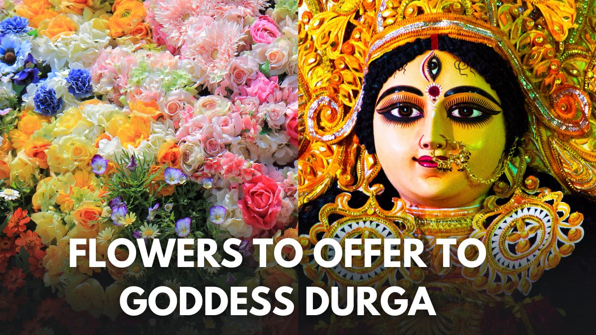 7 Flowers You MUST Offer To Mata Rani During Navratri To Achieve ...