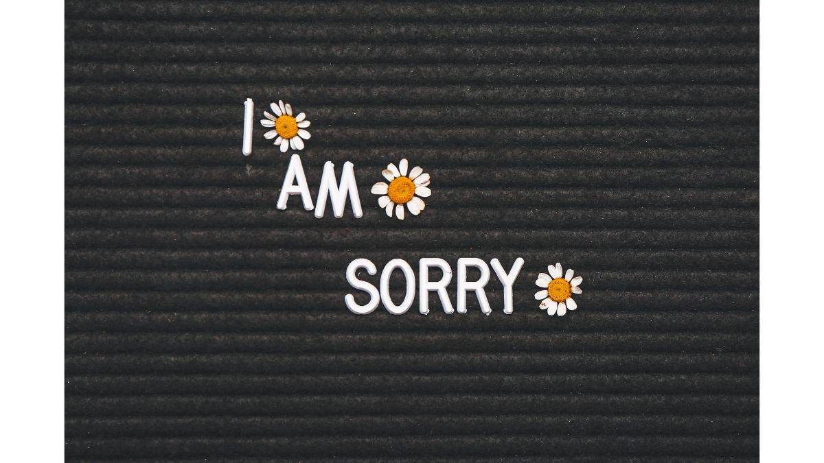 How To Say Sorry In English: 30+ Ways To Apologise To Your Loved Ones