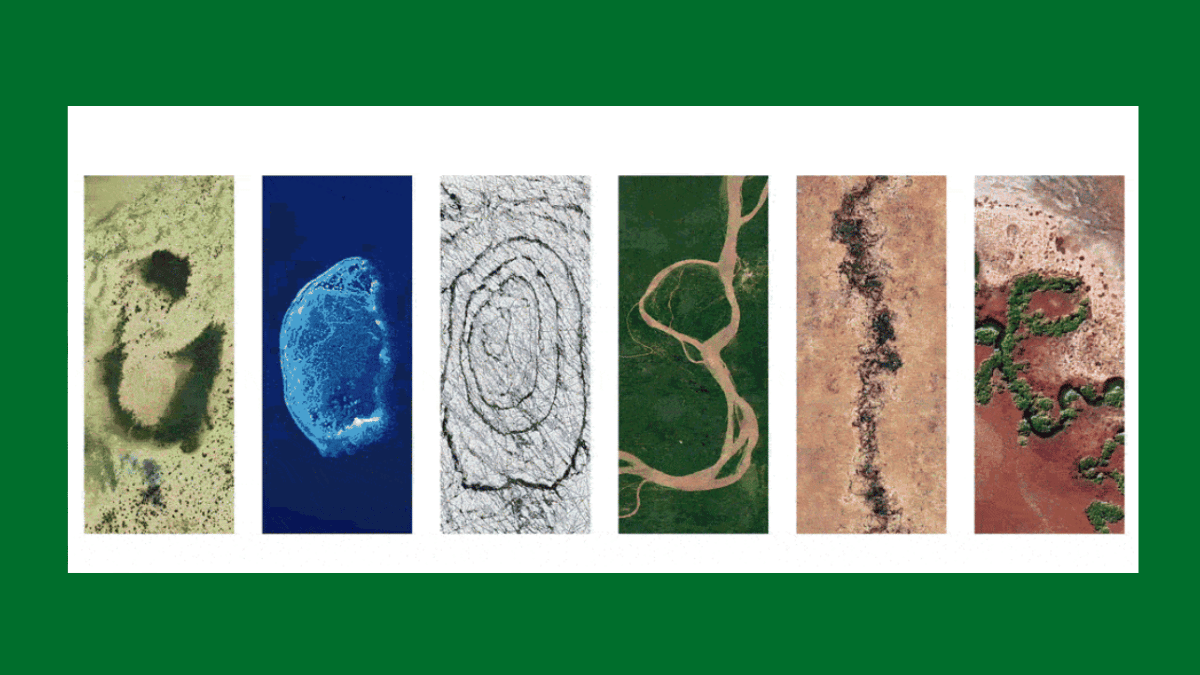 Earth Day 2024: Google Celebrates With Sustainable Doodle Alerting Of ...