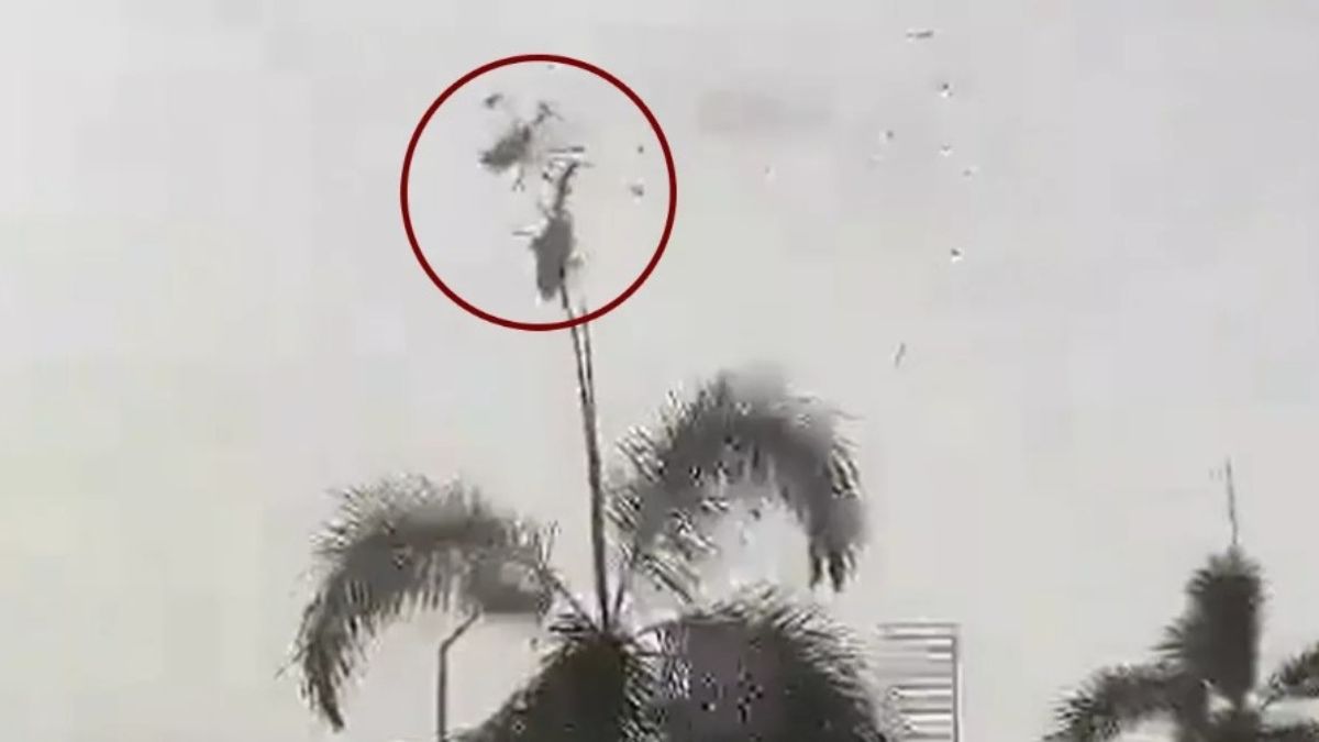 Malaysia Helicopter Collision: 10 Killed After Two Navy Choppers ...