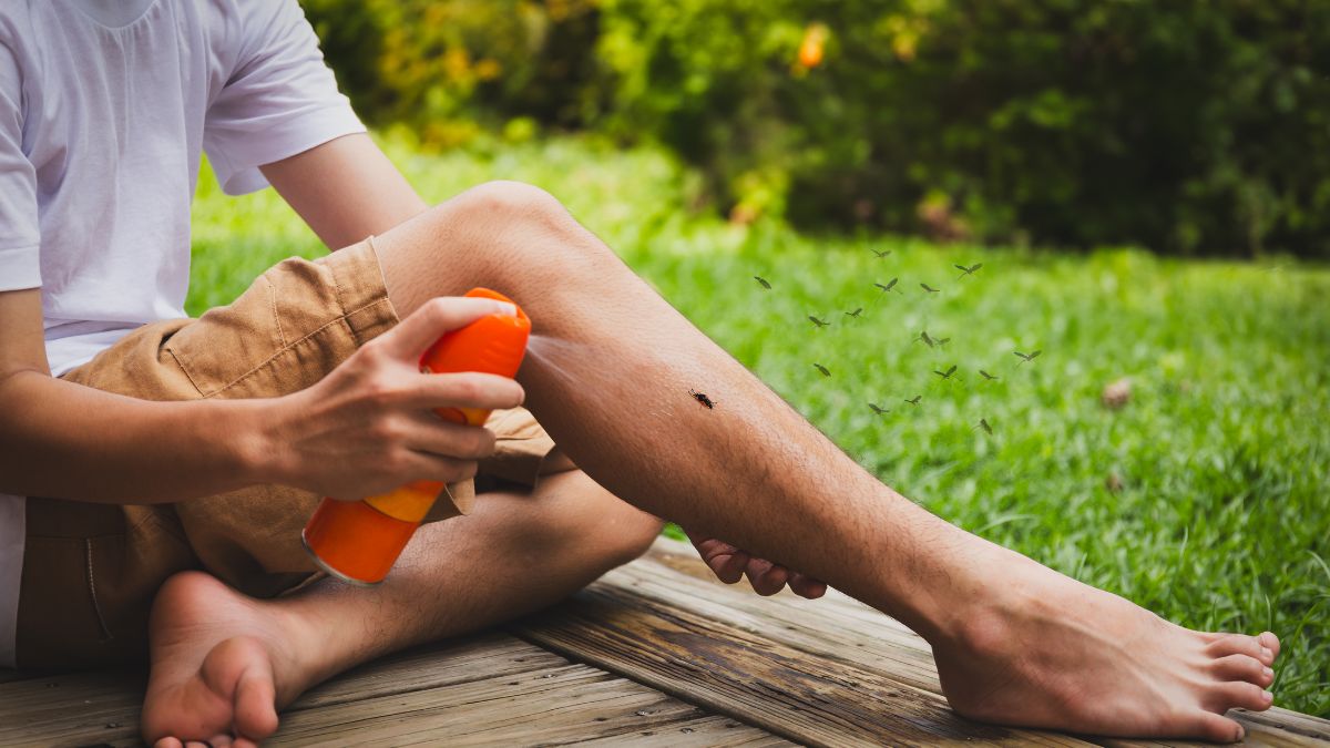 What Are The Immediate Symptoms Of Malaria; Know From Expert