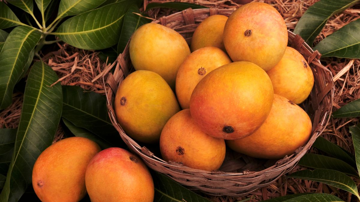 5 Health Benefits Of Eating Mangoes This Summer Season For Good Health