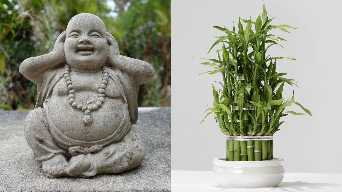 7 Good Luck Feng Shui Items To Keep In Your Home For Abundance And ...