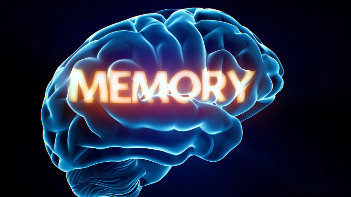 Individuals Born On THESE 4 Dates Are God Gifted With Sharp Memory