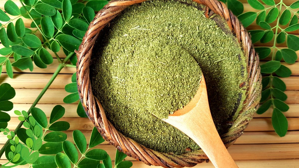 5 Unbelievable Advantages Of Drinking One Glass Of Moringa Water ...
