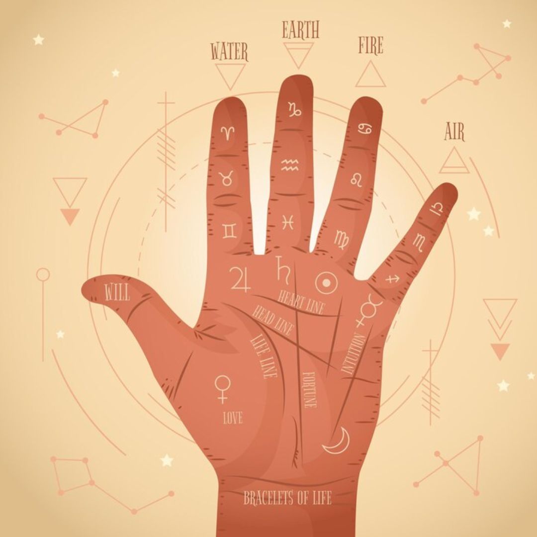 Meaning Of Different Lines And Mounts On Palm For Success And Luck ...