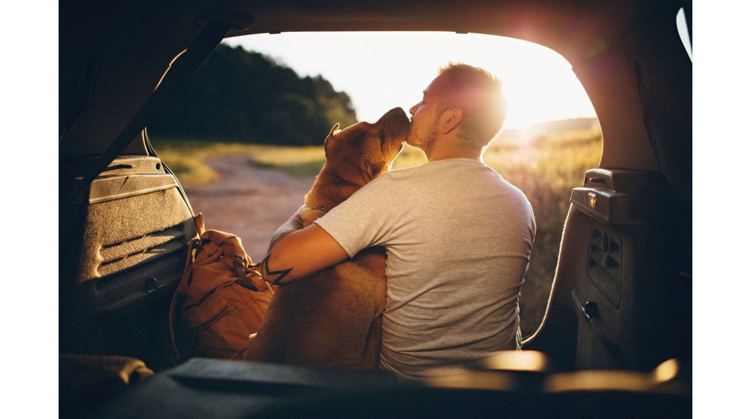 What Is Sigma Male Personality? Know Key Traits And How To Keep Safe ...