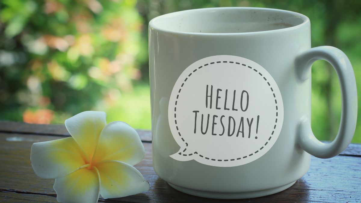 Tuesday Motivational Quotes For Work: 20 Uplifting Quotes For Bright ...