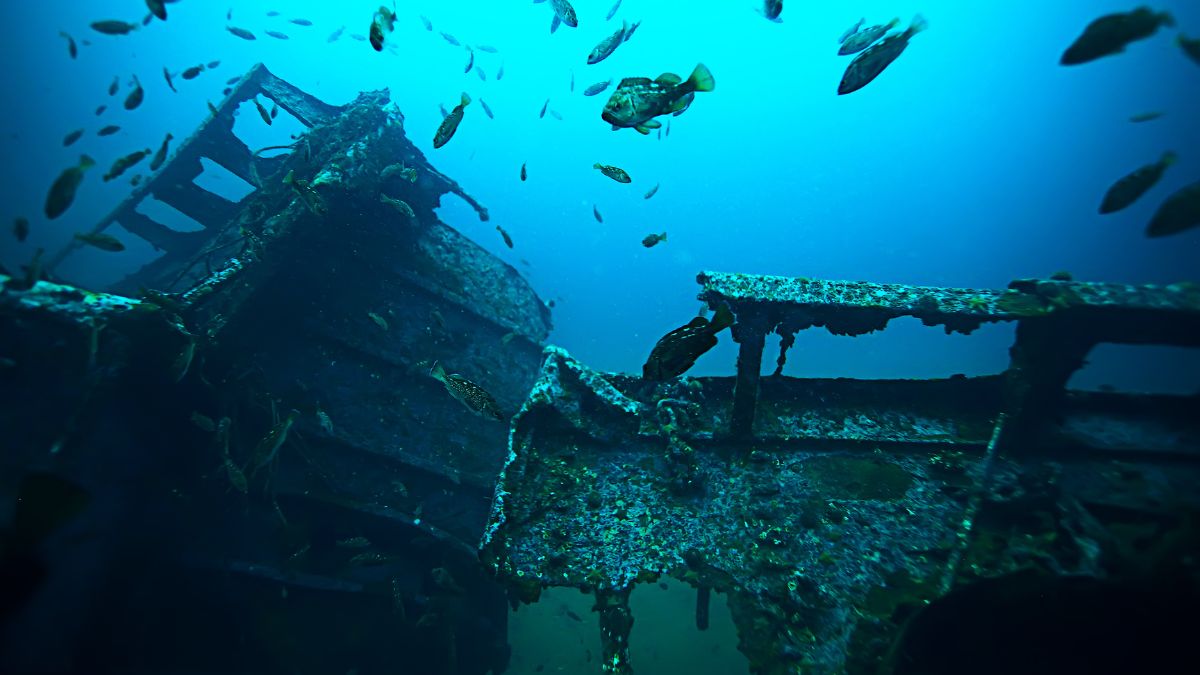 3,300-Year-Old Ship Wreckage Found Off Israel's Coast With Intact Cargo