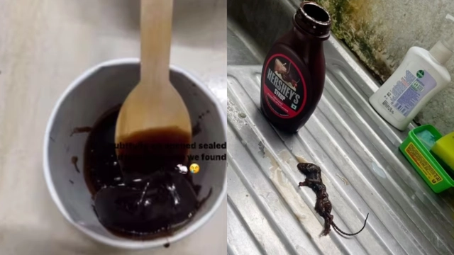 SHOCKING! Dead Mouse Found in Hershey’s Chocolate Syrup Ordered Online ...