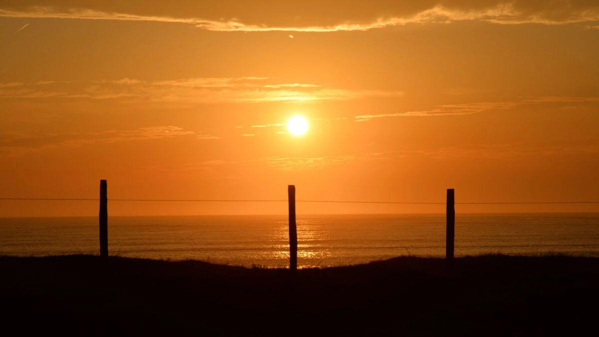 ummer Solstice 2024: Why Is June 21 Known As First Day Of Summer? Check ...