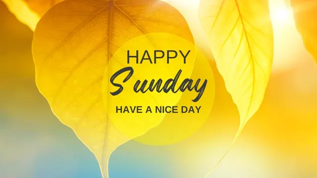 Sunday Bliss: Top 10 Happy Quotes To Start A Fresh And Peaceful Week Ahead