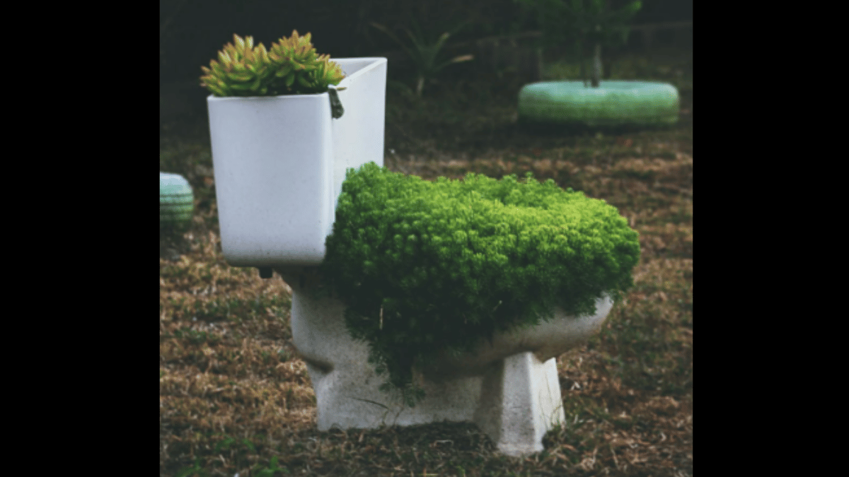 Instagram Video Shows Joint Commode DIY For Couple To Poop Together ...