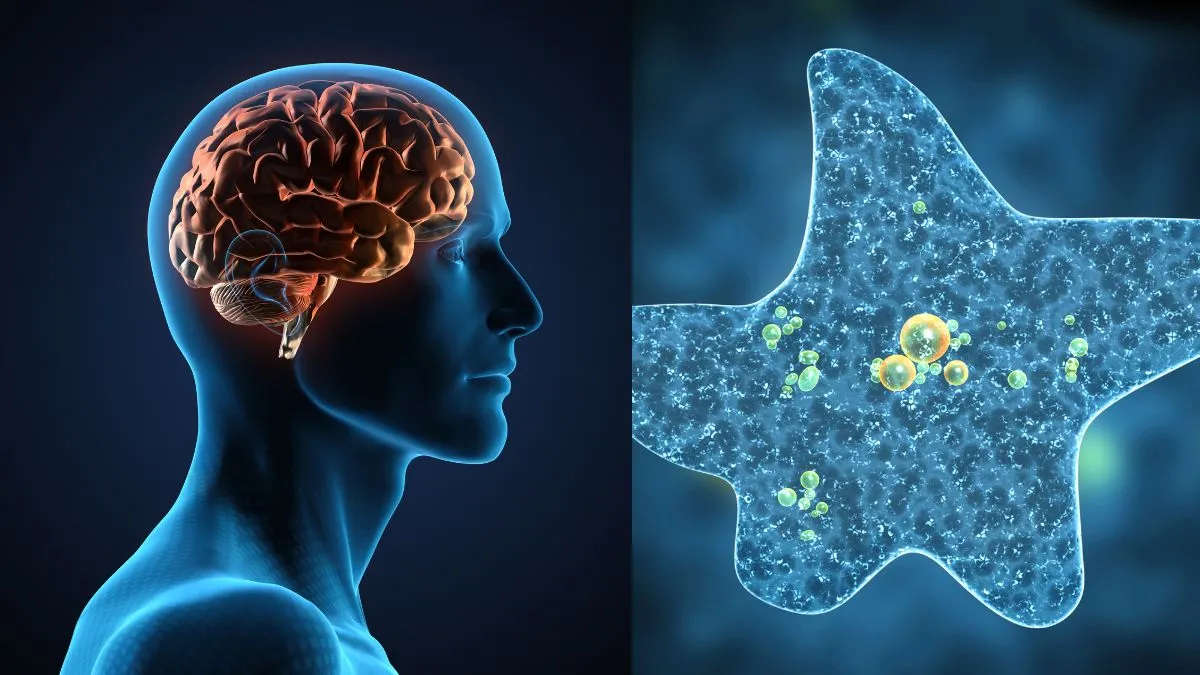Brain-Eating Amoeba In Kerala: Causes, Signs, Symptoms And Ways To ...