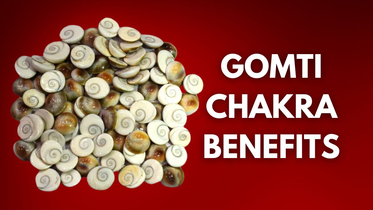 Top 7 Benefits Of Using Gomti Chakra To Attain Success And Remove ...