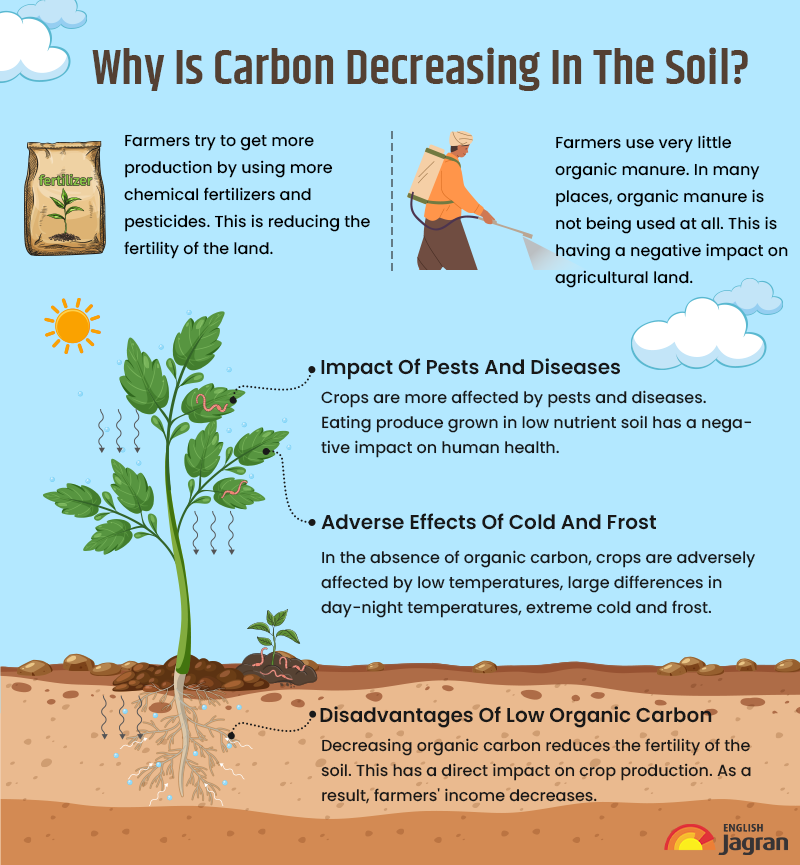 Soil Erosion: 30% Of India's Land Witnessing Degradation, Worsening ...