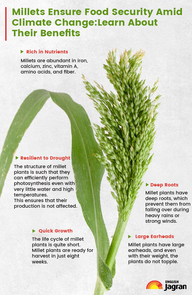 Soil Erosion: 30% Of India's Land Witnessing Degradation, Worsening ...