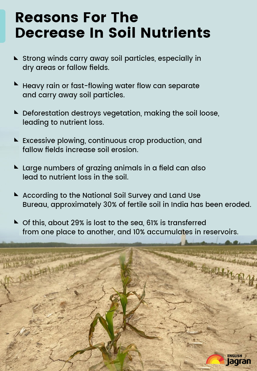 Soil Erosion: 30% Of India's Land Witnessing Degradation, Worsening ...