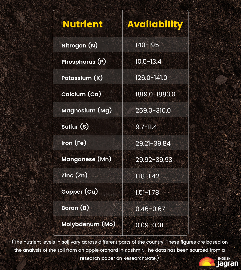 Soil Erosion: 30% Of India's Land Witnessing Degradation, Worsening ...
