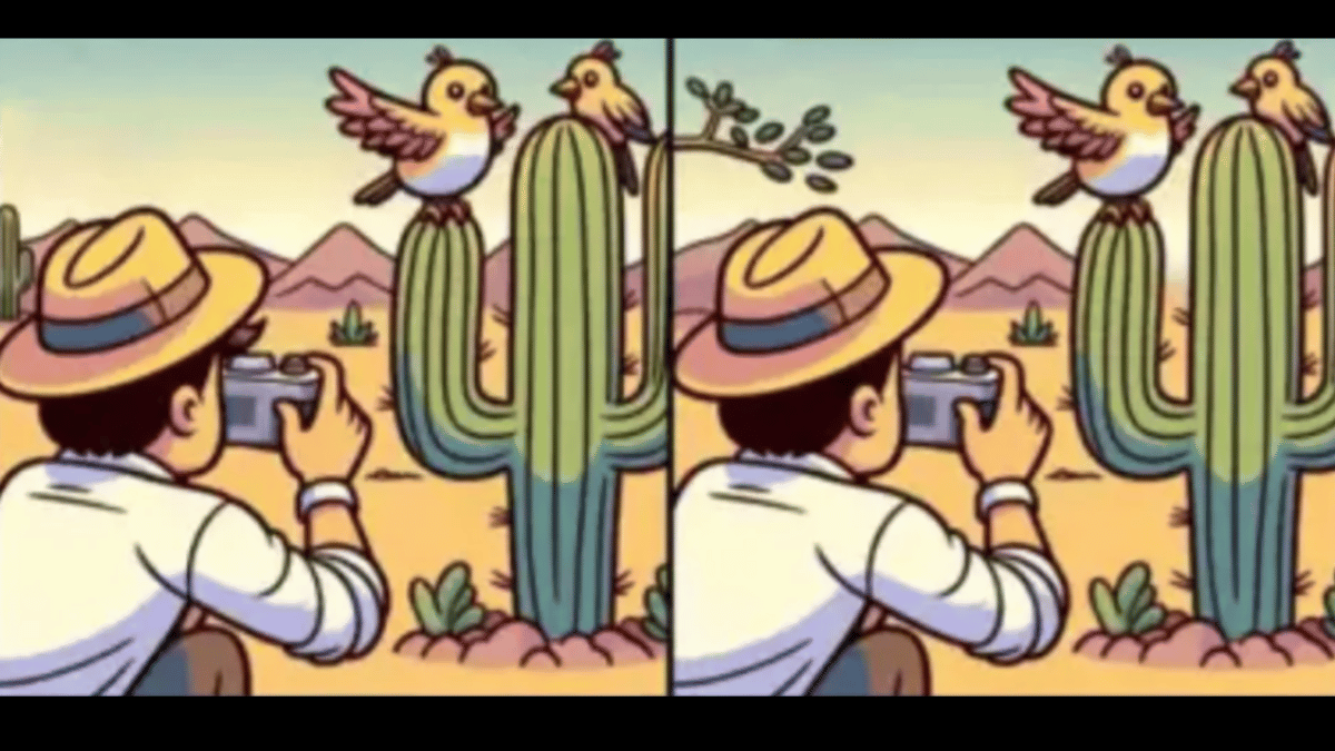 Spot The 4 Differences In The Image | Optical Illusion