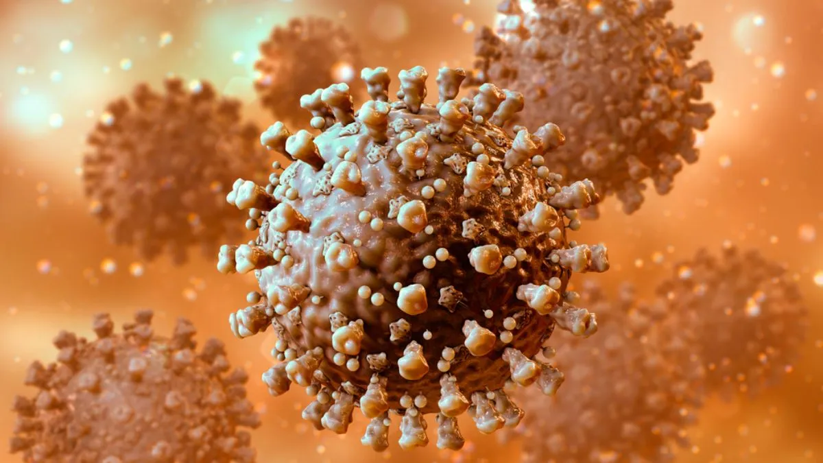 Centre Reviews Outbreak Of Chandipura Virus, AES Cases In Three States