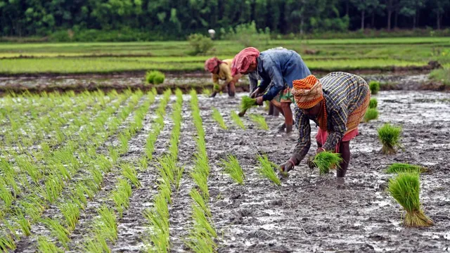 'Bhu-Aadhar' For All Rural Land Parcels, GIS-Based Digitisation For ...