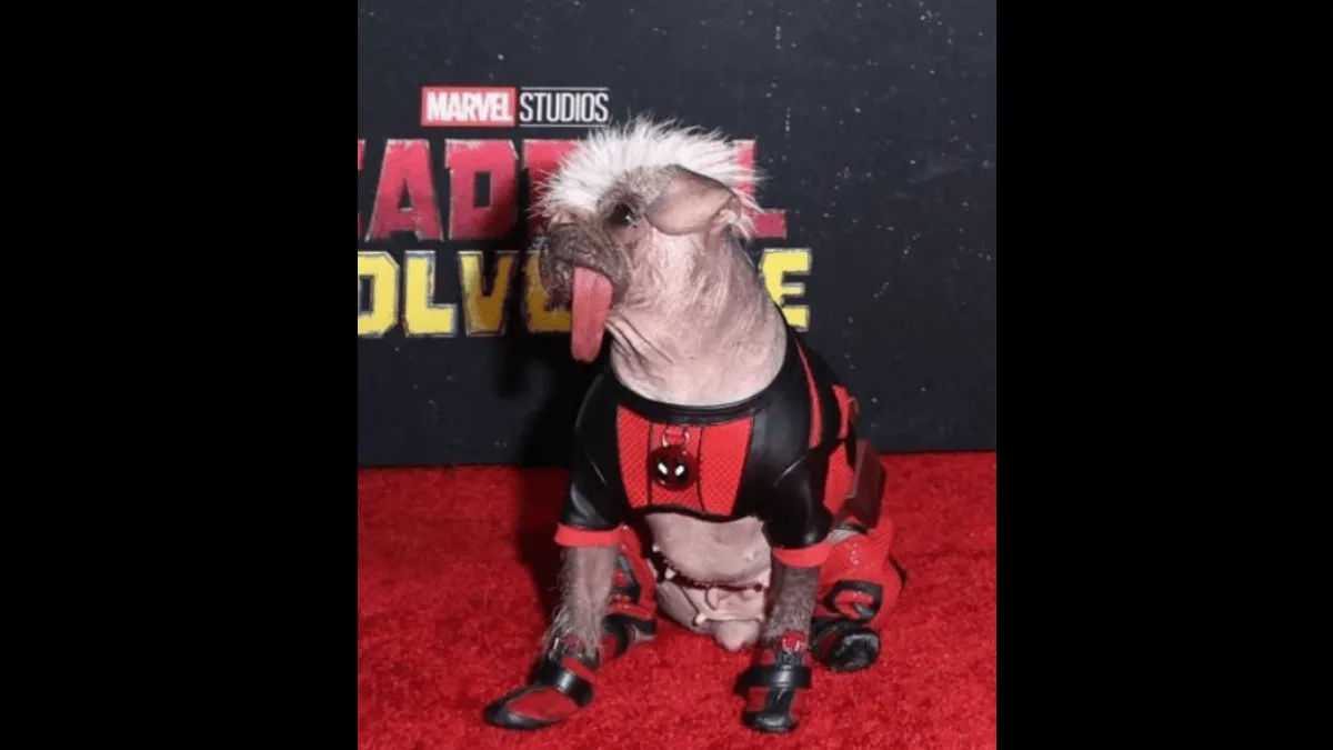 Dogpool Aka Peggy Steals Limelight At Deadpool And Wolverine NYC ...