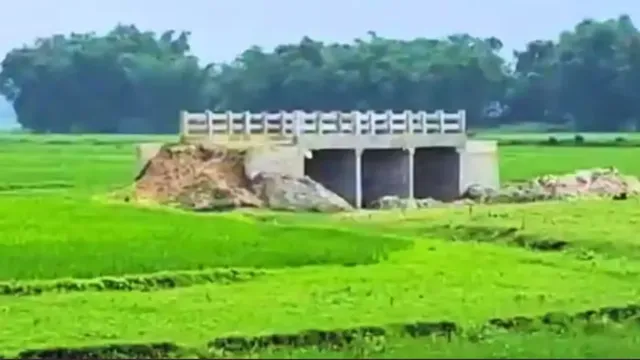 Bihar: Standalone Bridge Built In The Middle Of Farmland; Authorities ...