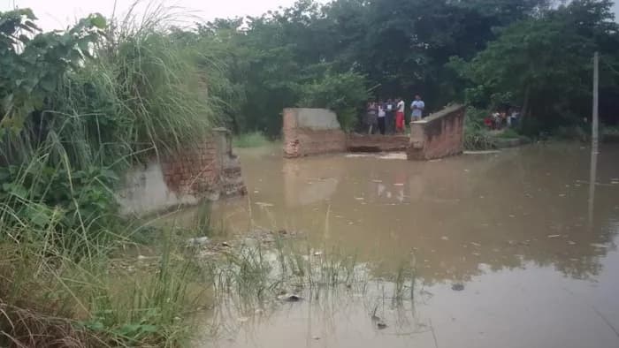 Bihar News: Another Bridge Collapse Incident Reported In Tejashwi'’s ...