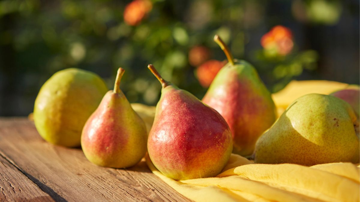 5 Surprising Health Benefits Of Pears That Make Them Monsoon Superfood