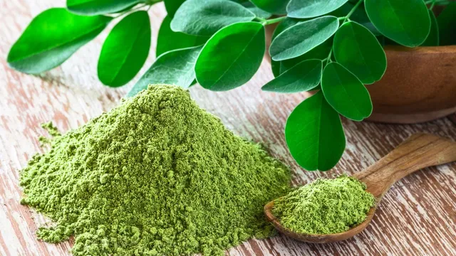 5 Impressive Reasons To Use Moringa Powder In Your Everyday Life