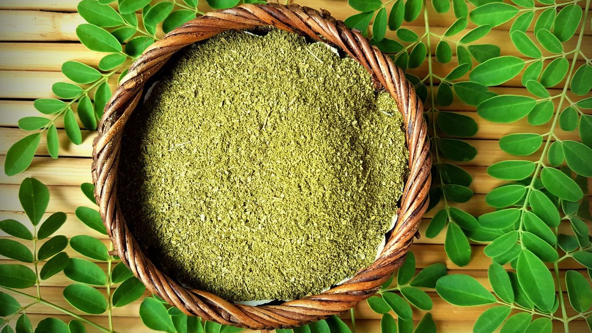 5 Impressive Reasons To Use Moringa Powder In Your Everyday Life