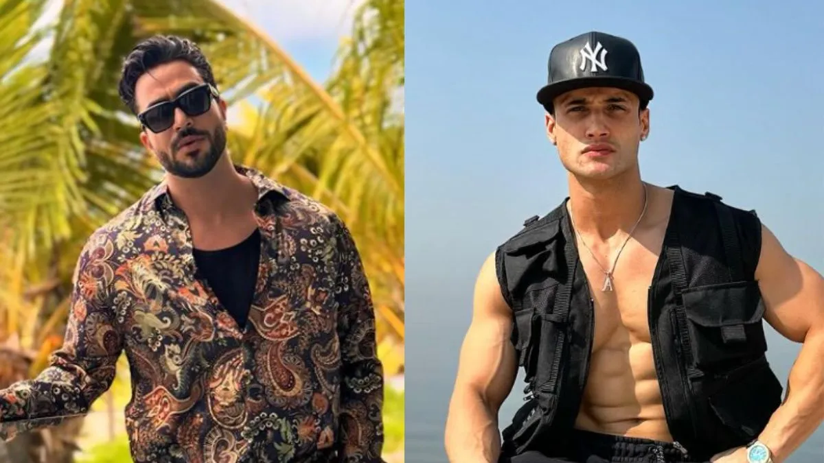 ‘There's More To Story’: Aly Goni Stands By Asim Riaz Amid KKK14 ...