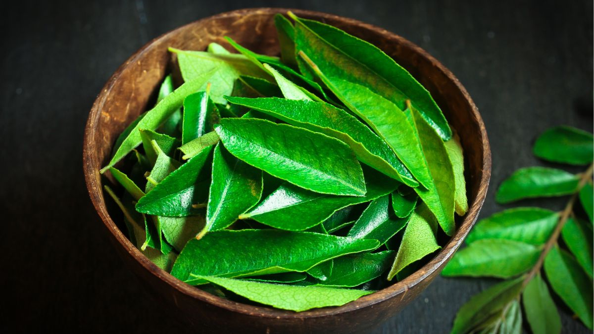 5 Surprising Benefits Of Chewing Curry Leaves On An Empty Stomach