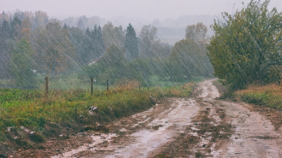 IMD Forecasts Above-Normal Rainfall For September; Heavy Downpours ...