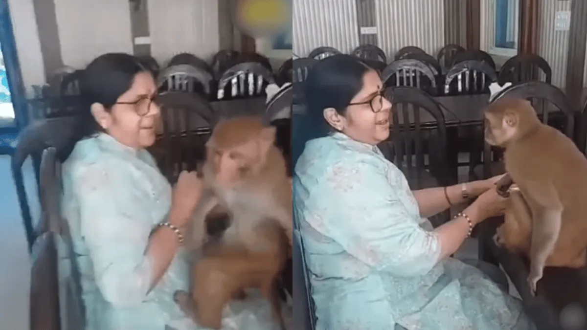 Viral Video Of Monkey Dancing And ‘Vibing’ With Crowd Singing Ram ...