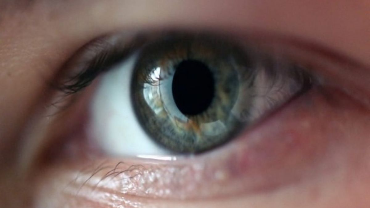 Entod Pharmaceuticals PresVu Eye Drops To Help Get Rid Of Reading ...