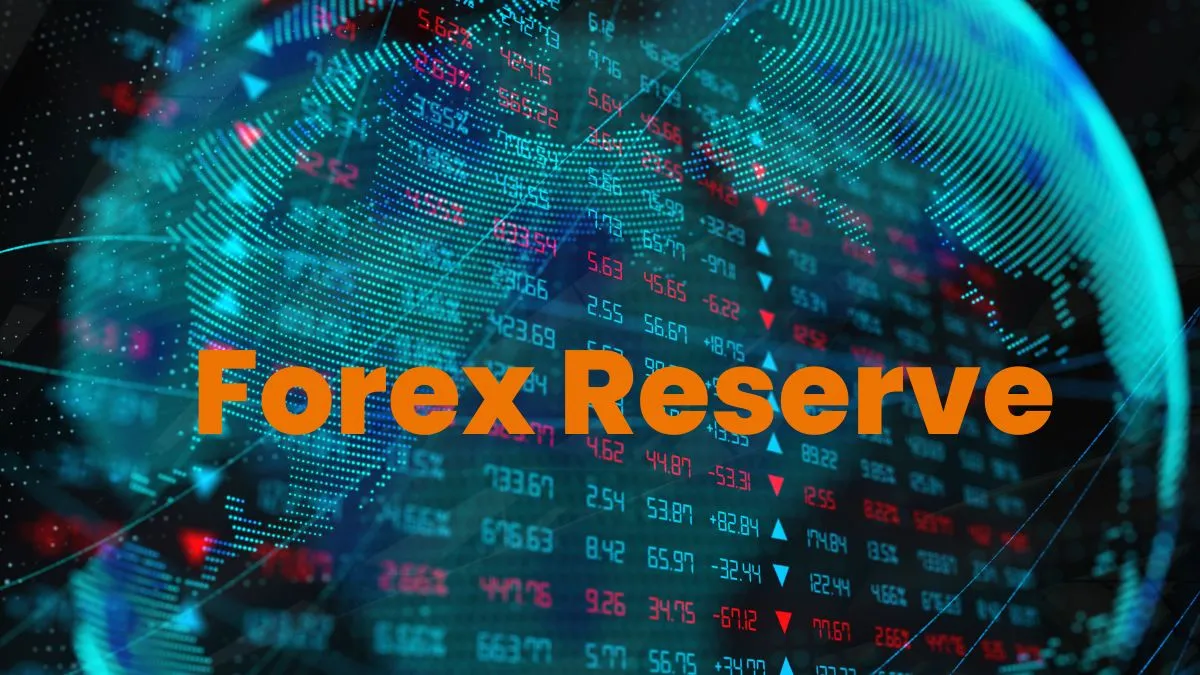 India's Forex Reserves Rise To Record High Of $683.987 Billion