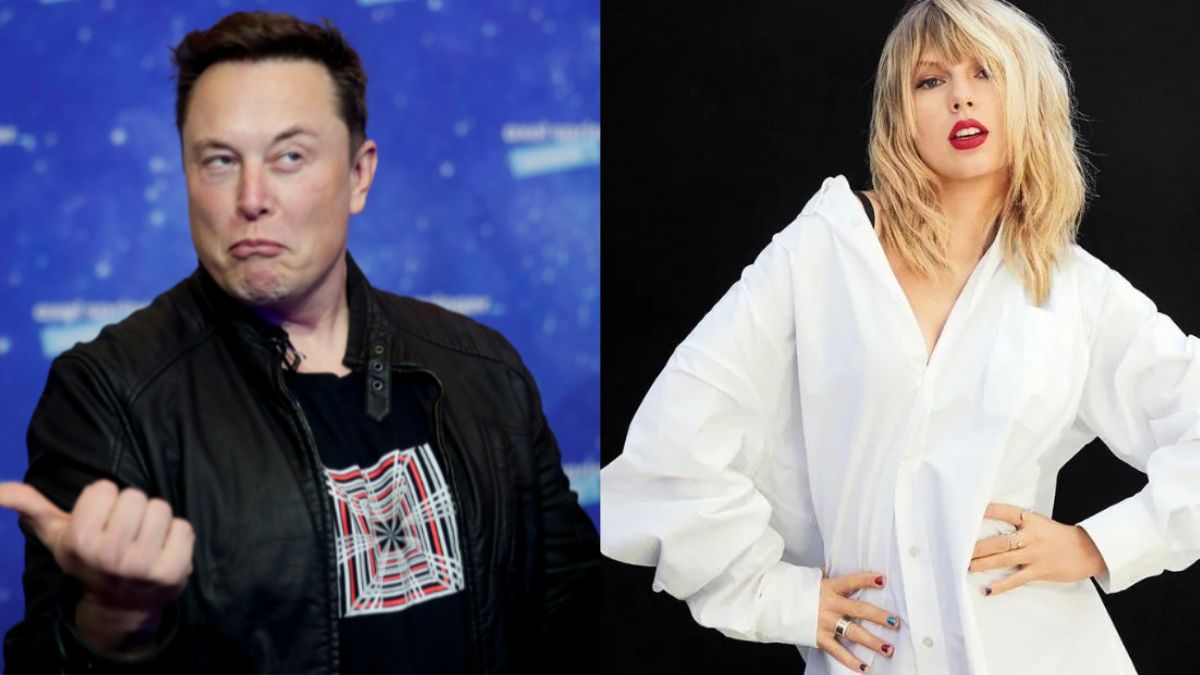 'Will Give You Child And Guard Your Cats': Elon Musk Takes Dig At ...