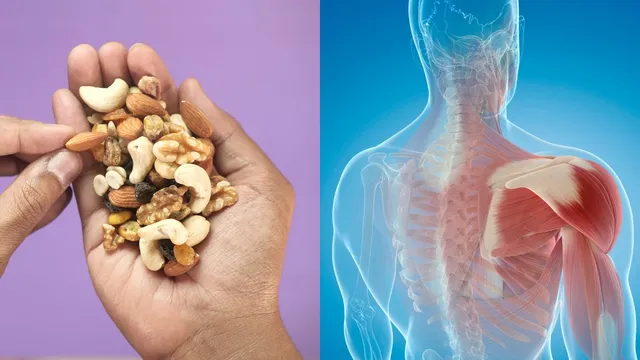 5 High-Protein Nuts To Increase Muscle Strength And Fuel Your Fitness Goals