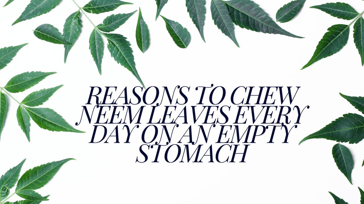 5 Important Reasons To Chew Neem Leaves Every Day On An Empty Stomach
