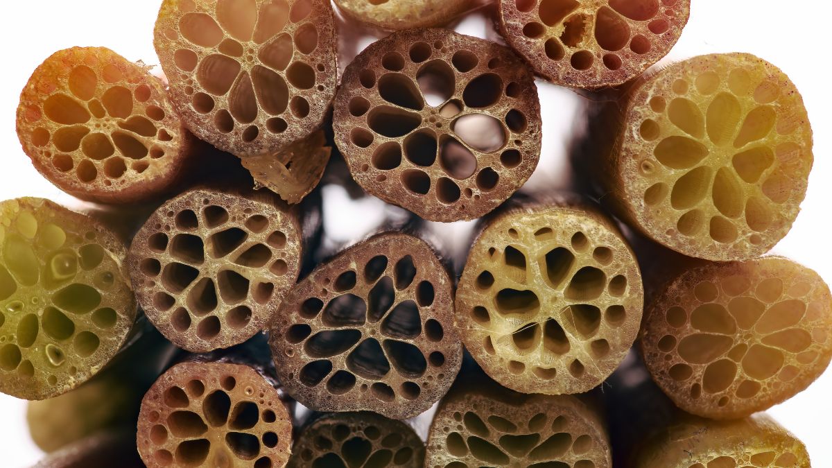 5 Impressive Benefits Of Consuming Lotus Stem (Kamal Kakdi) For Healthy ...