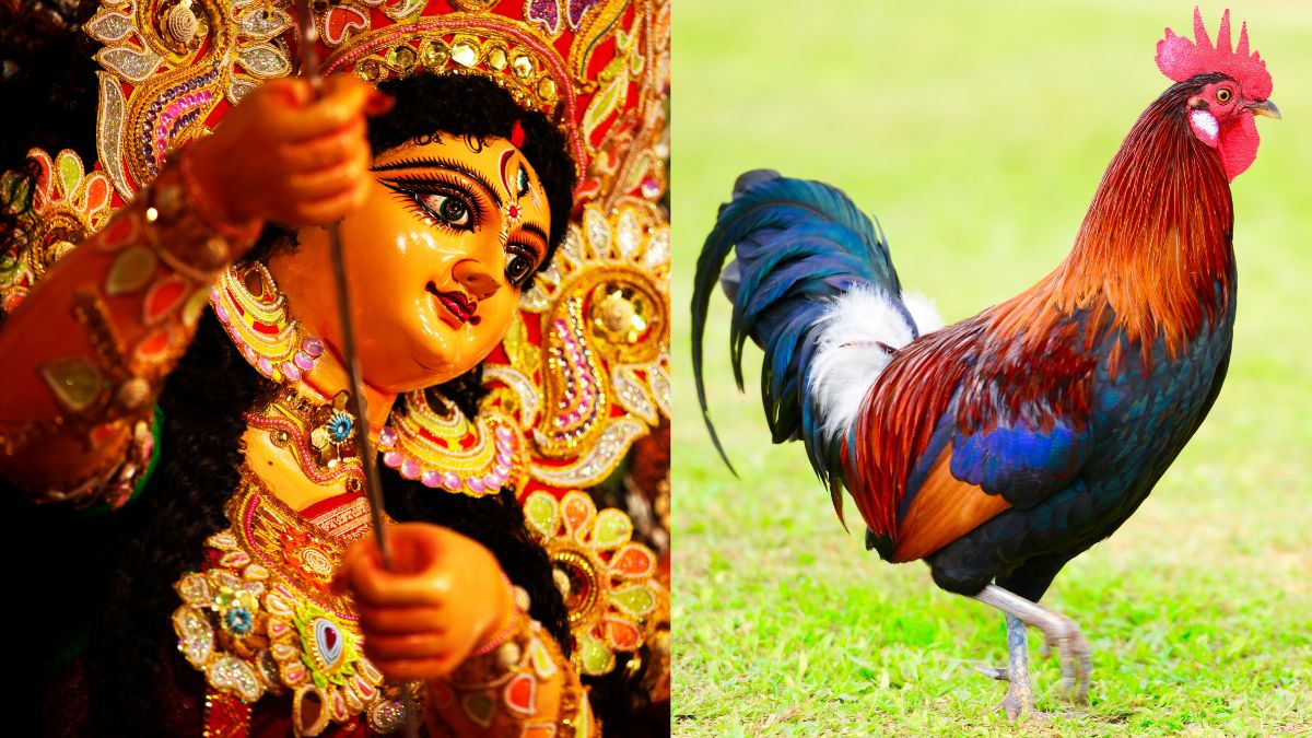 Shardiya Navratri 2024: Mata Ke Jaane Ki Sawari; Goddess Durga To ...