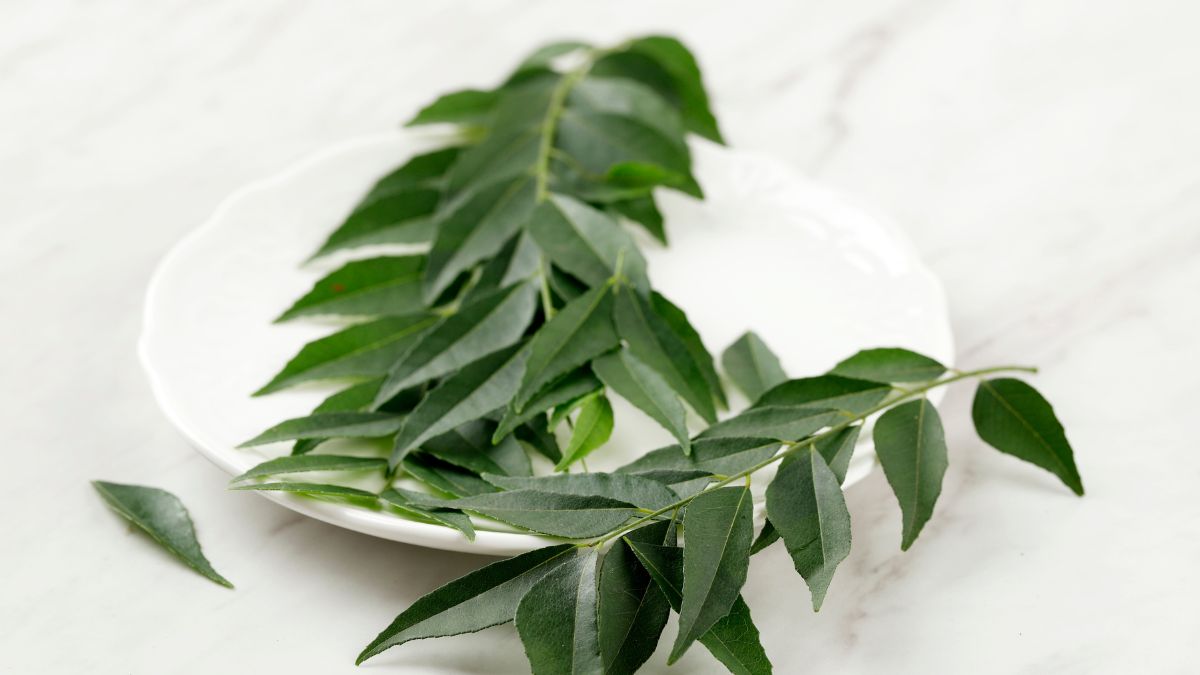 How Kadi Patta Improves Your Health? 5 Benefits Of Consuming Curry ...